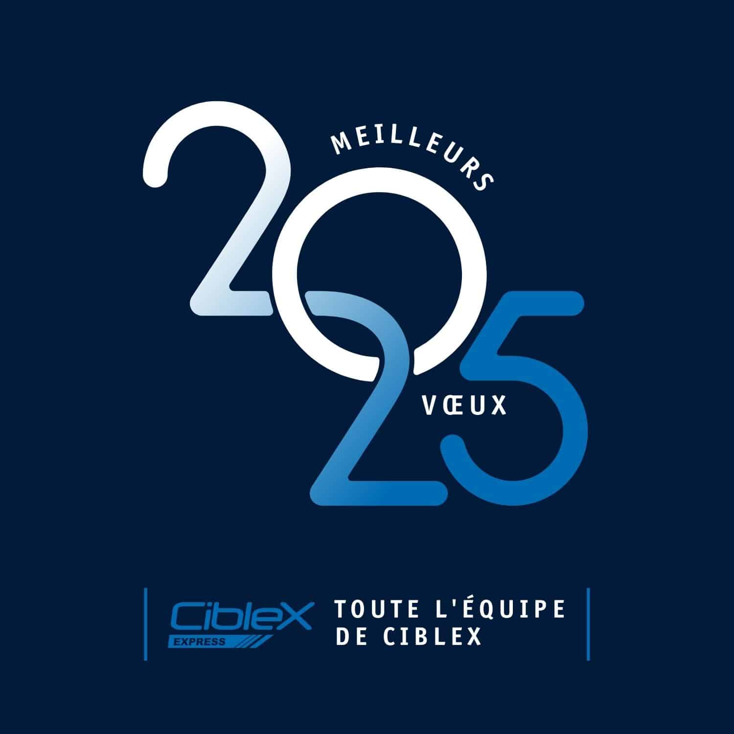 Ciblex vous adresse ses meilleurs vœux pour une année 2025 prospère et ...